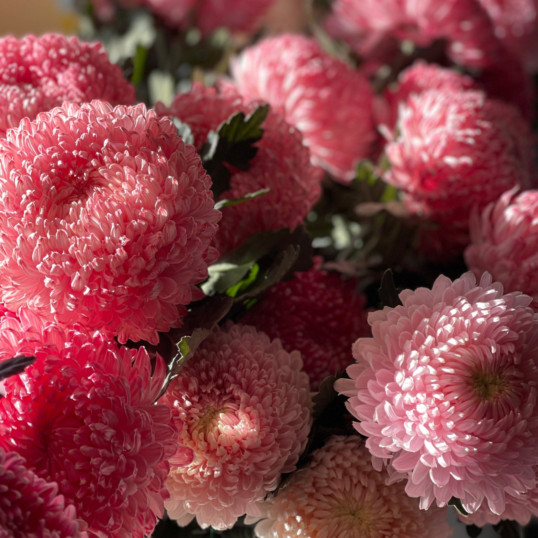 Pink Flower Bouquet Upper Hutt | Florist Choice Flowers | Budflorists ...
